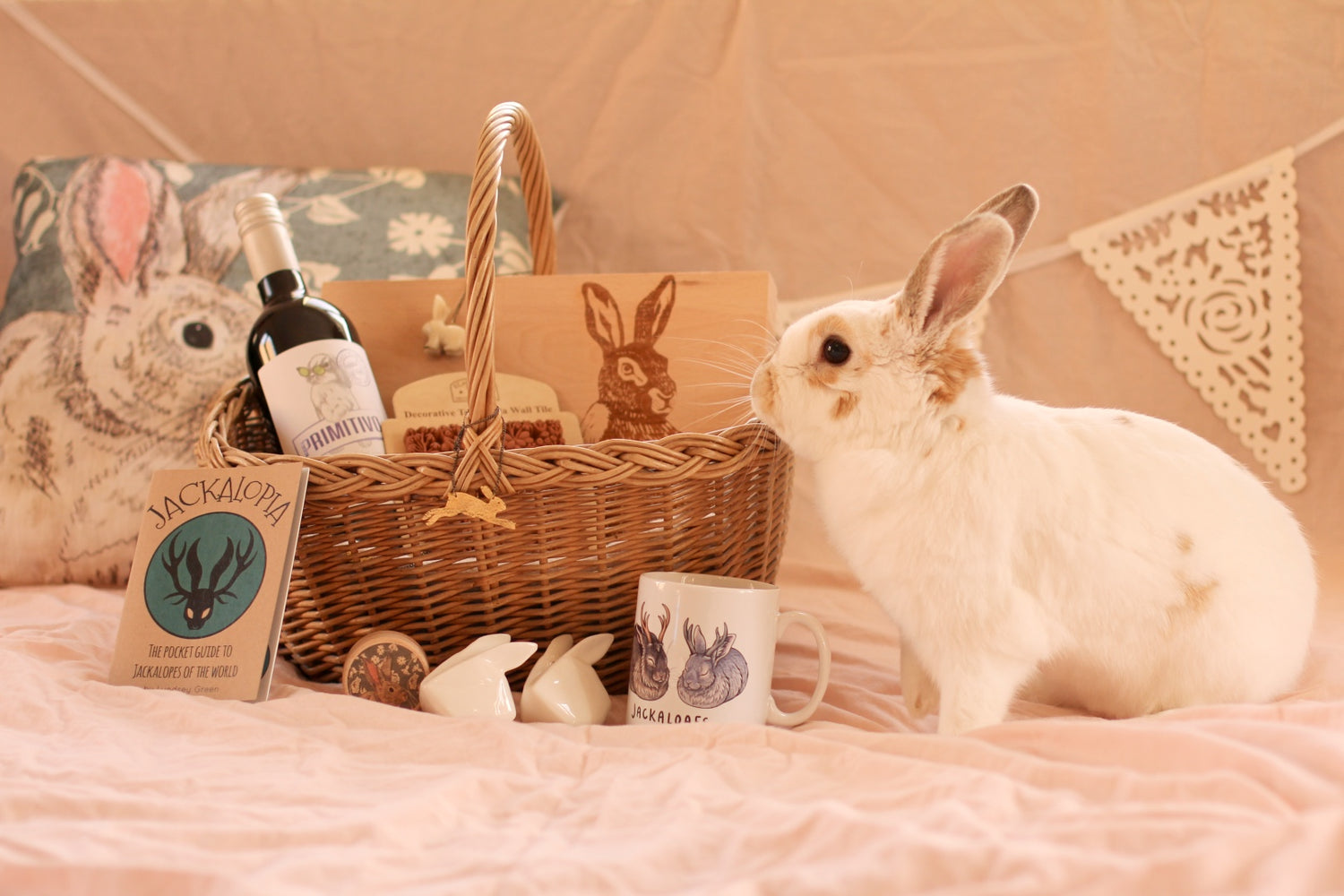 Rabbit Retail | The one hop shop for you and your bunny