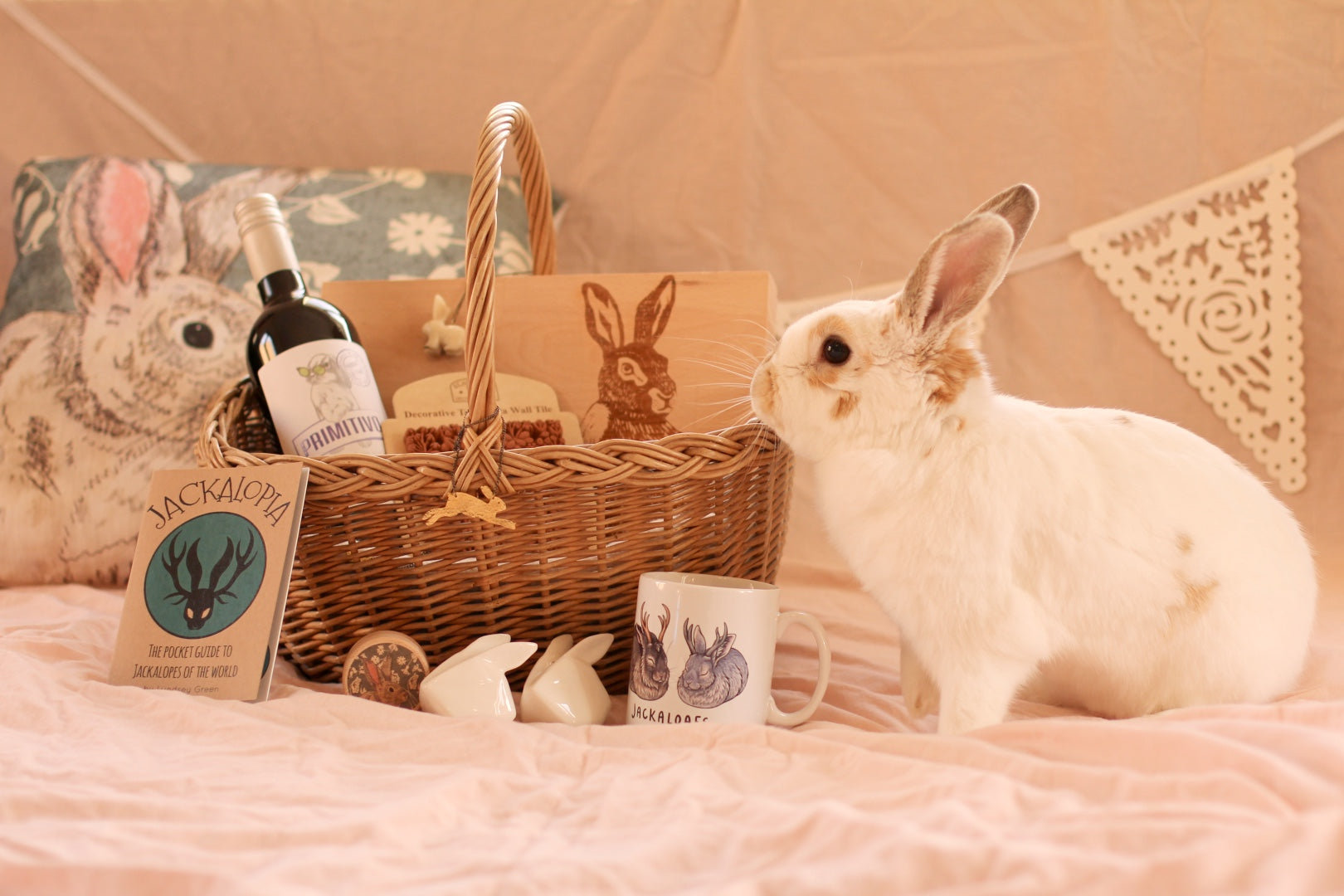 Rabbit Retail | The one hop shop for you and your bunny